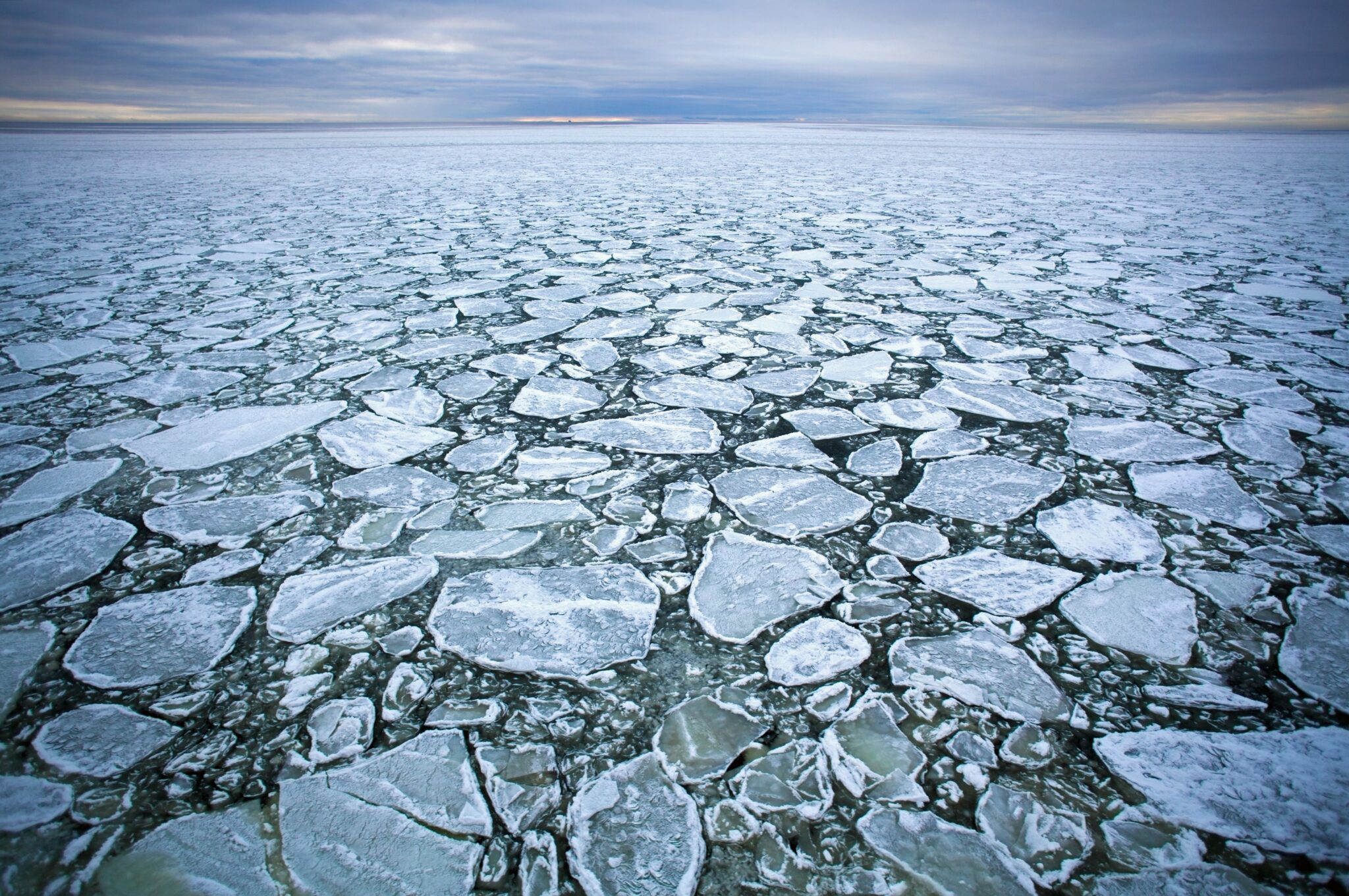 Revealing the Underbelly: Antarctic Under-Ice Ocean - ACEAS