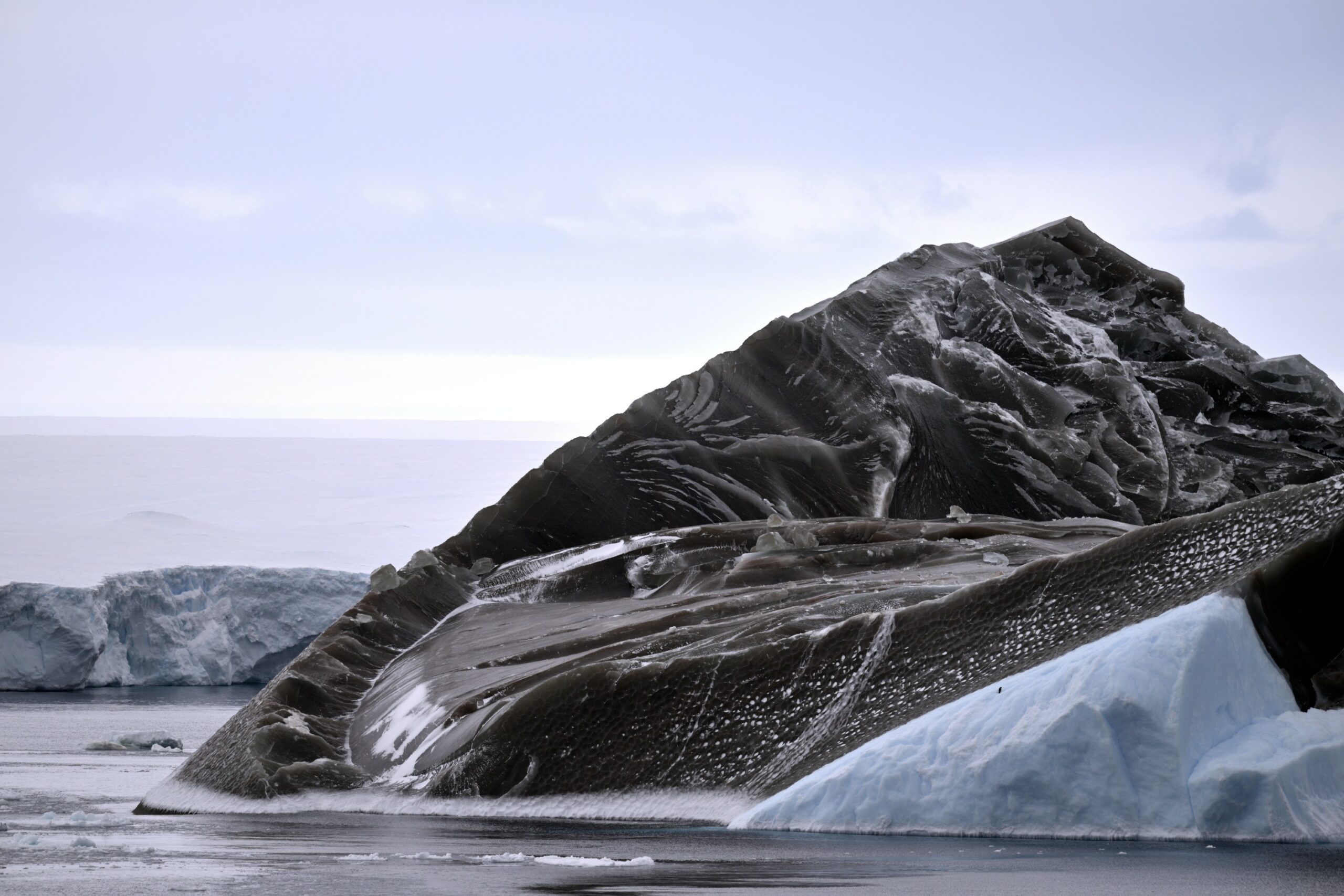 Mysteries of colourful icebergs - ACEAS